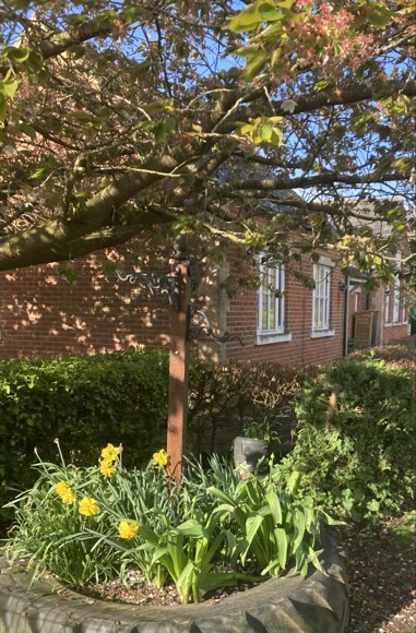 Our School - Rockland St. Mary and Surlingham Primary Schools