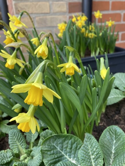 Our School - Rockland St. Mary and Surlingham Primary Schools